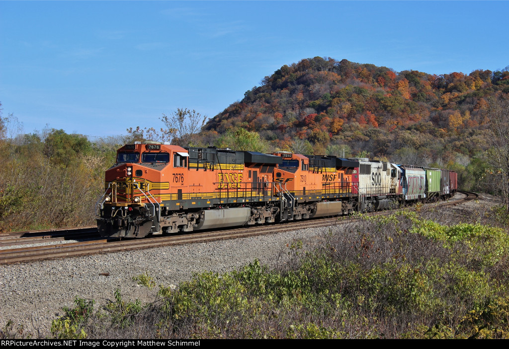 Pumpkins In The Fall